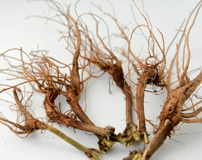Wooden Decor, Dry Plant Roots, Floral Material, Vase Filler, Roots ...