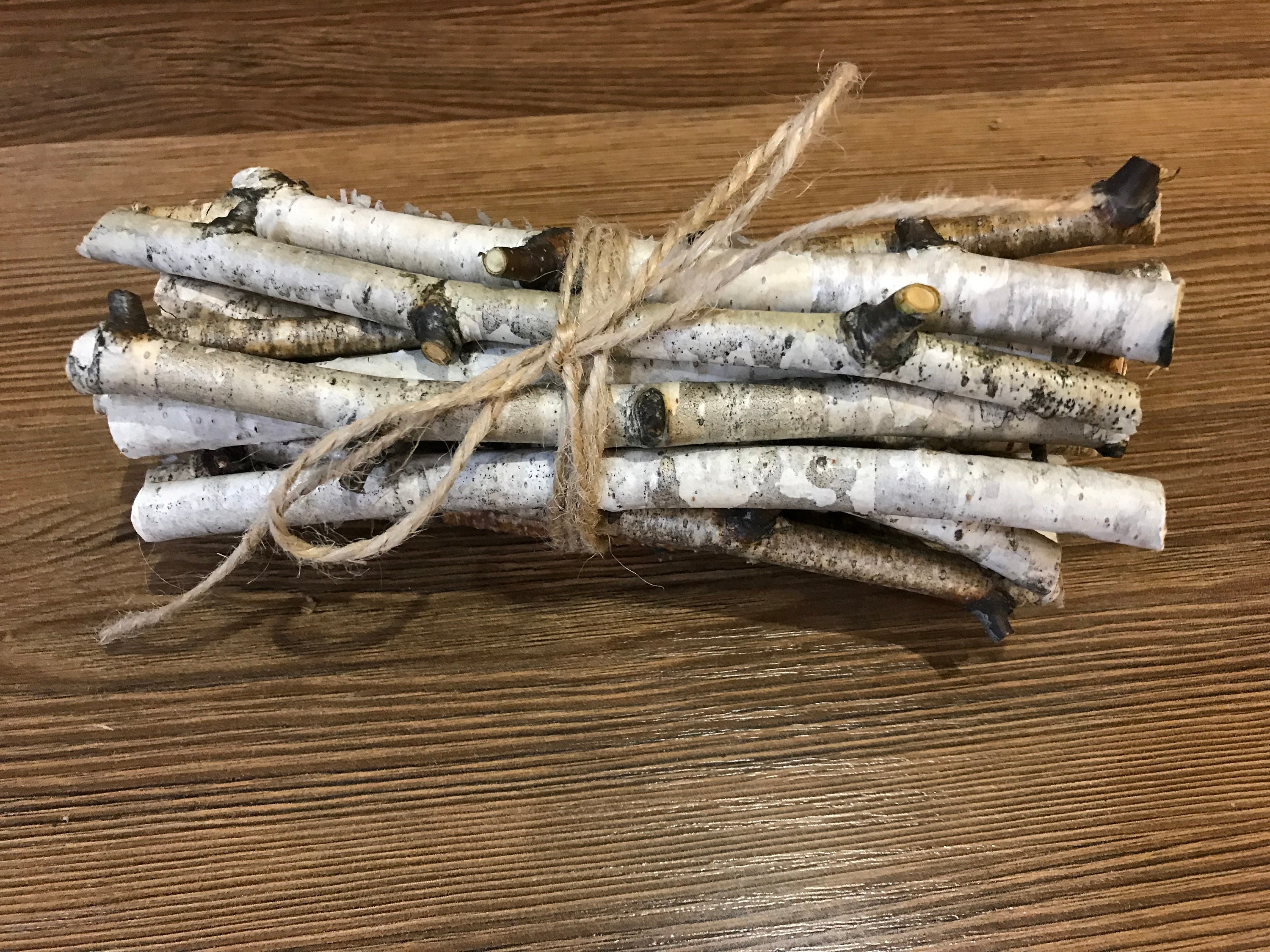 Set of Birch Branches White Natural Birch Sticks Natural - Etsy