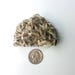 Dogtooth Calcite Cluster Gray Green Rock With Pyrite, Large Calcite ...