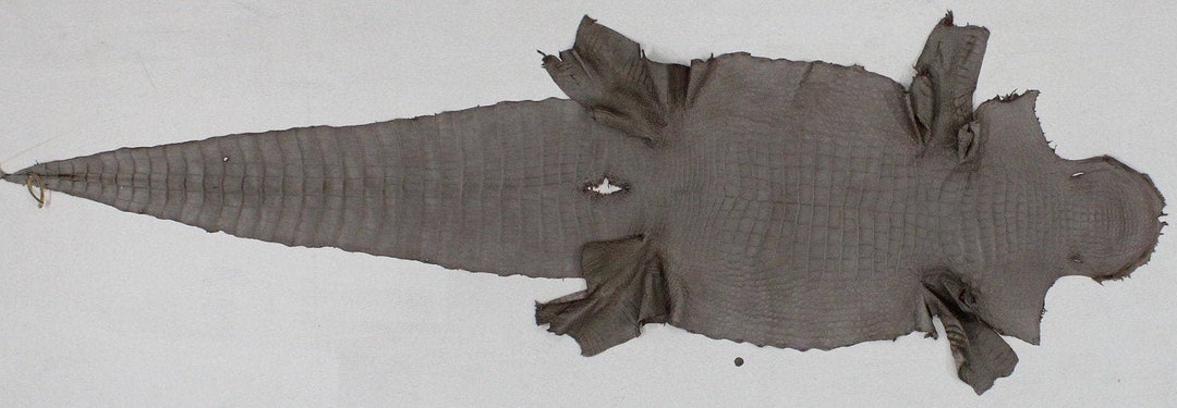 RV-7498 Alligator Hide/skin - Etsy