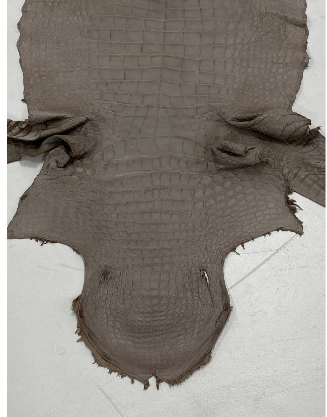 RV-7498 Alligator Hide/skin - Etsy