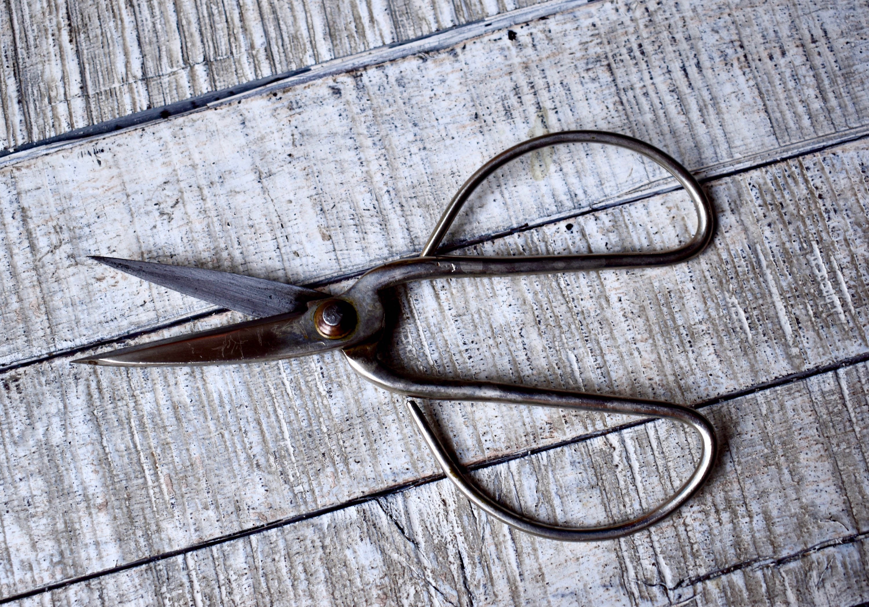Vintage Japanese Bonsai Scissors Hammered Japan Steel Scissor - Etsy