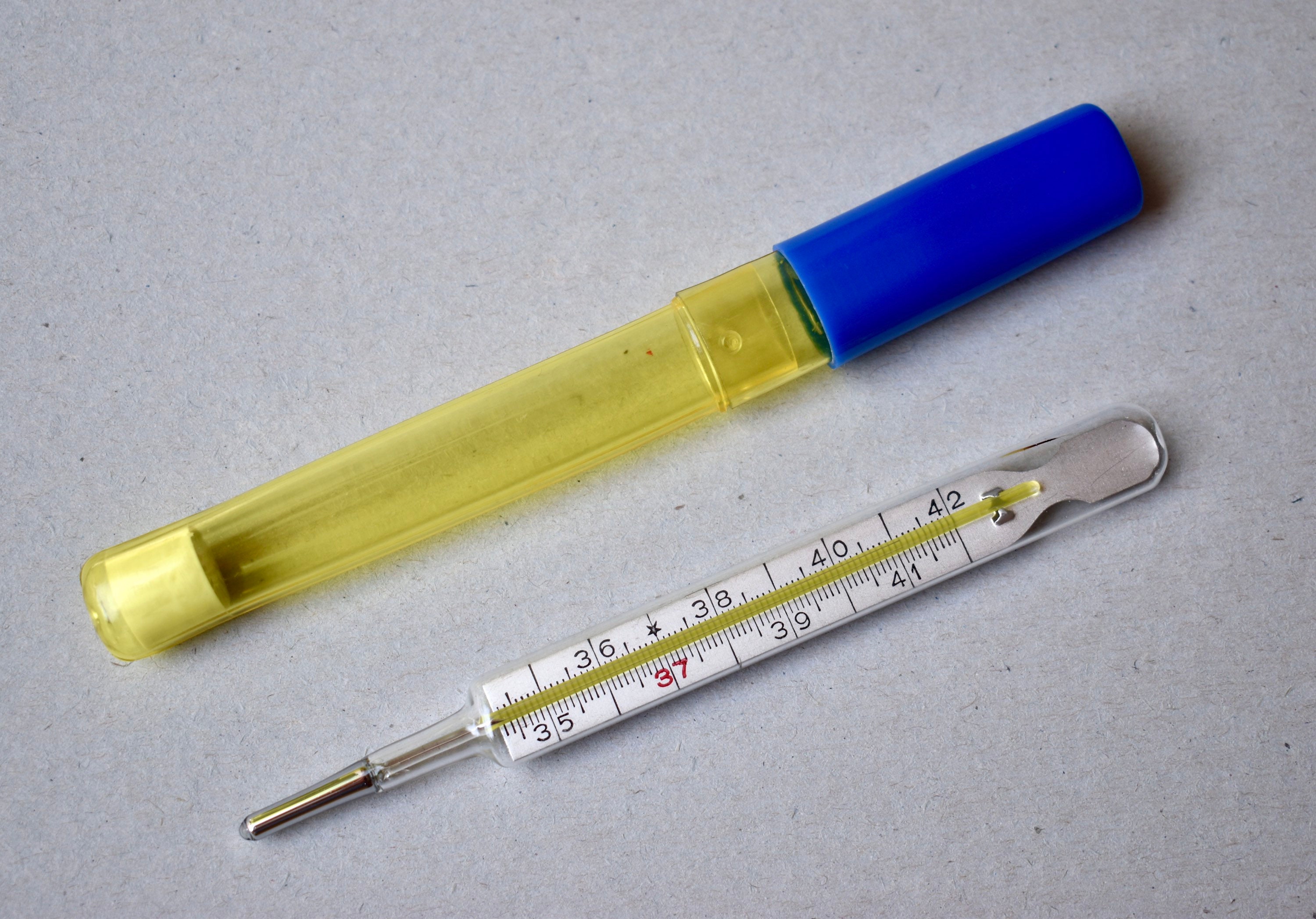Oral Mercury Thermometer