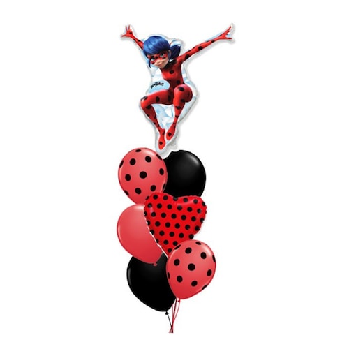 Ladybug Birthday Party Balloon Set - Etsy