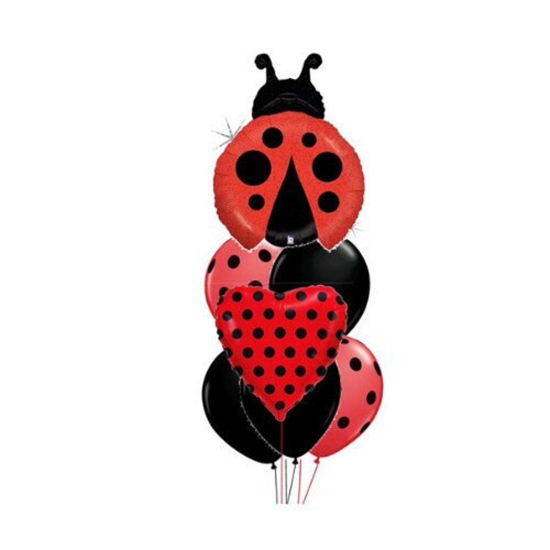 Lady Bug Balloon Bouquet Set, Ladybug Party Balloons, Lady Bug Birthday ...