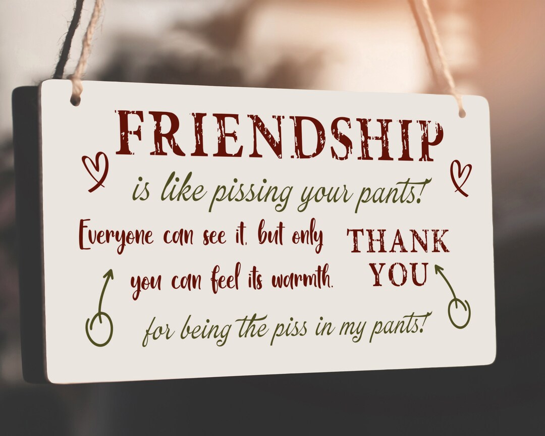 Friendship Sign Best Friend Plaque Gift Shabby Chic Heart & Thank You ...