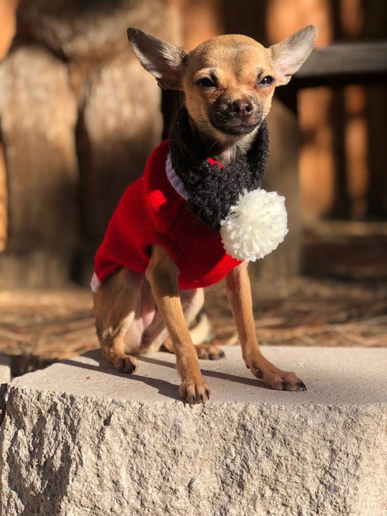 Dog & Puppy Winter Crochet Scarf * Pet Scarves for Winter Holidays ...