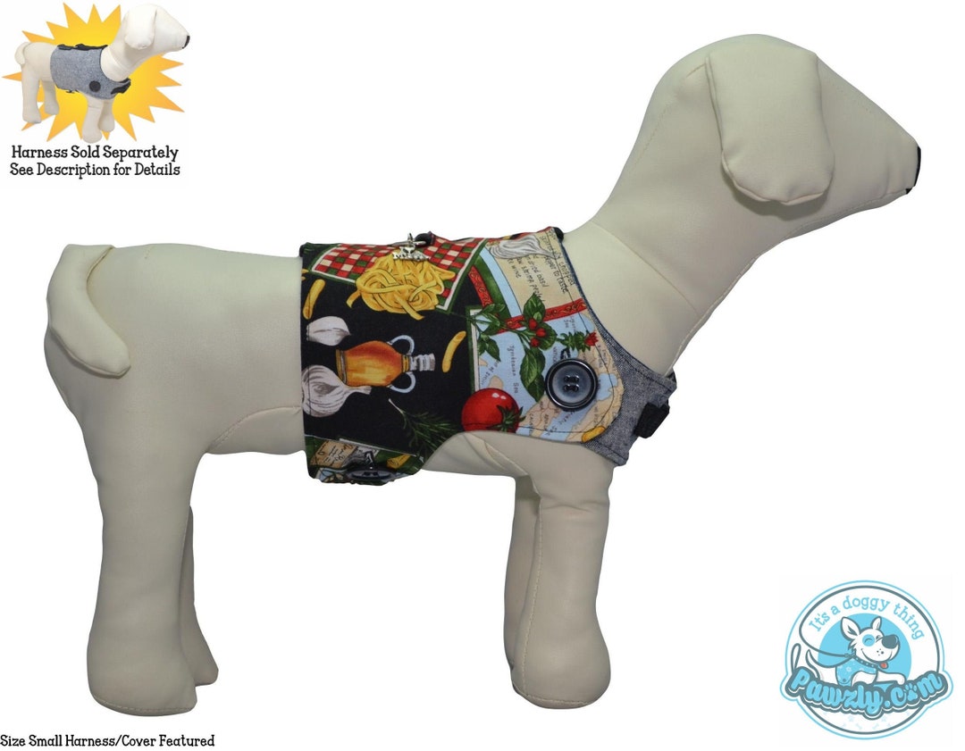 Italian Spaghetti Pasta Dinner & Cooking Baking With Friends Wine Food ...