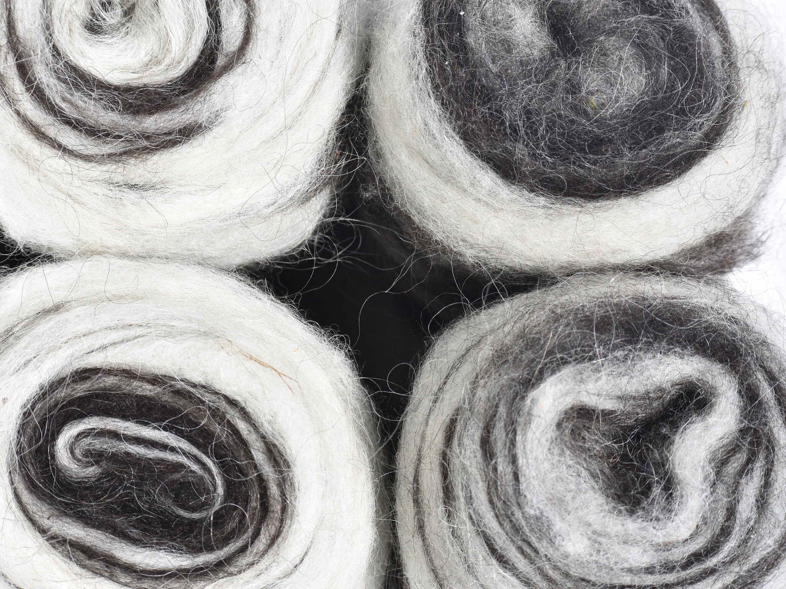 Icelandic Sheep Roving Bumps, Natural Colors, Bicolor black, White and ...