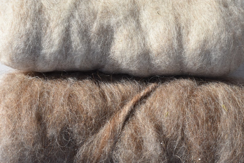 Icelandic Sheep Roving, Natural Color Wool in Light Gray, Ecru, Tan ...