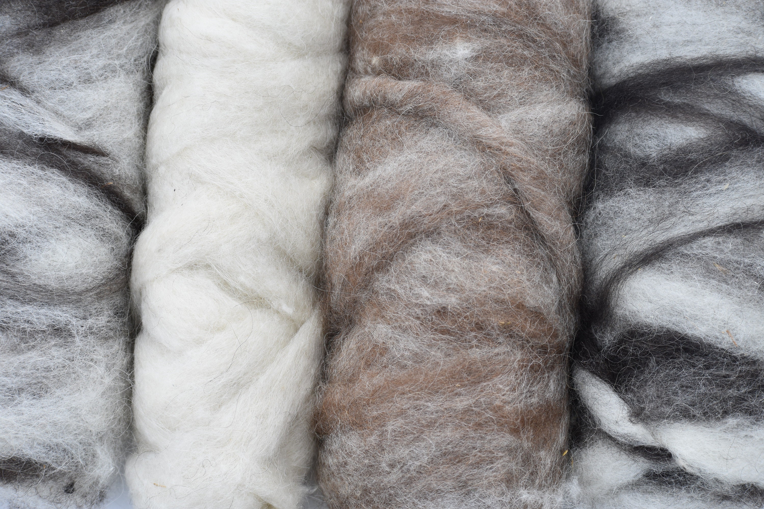 Icelandic Sheep Roving Bumps, Natural Colors, Bicolor black, White and ...