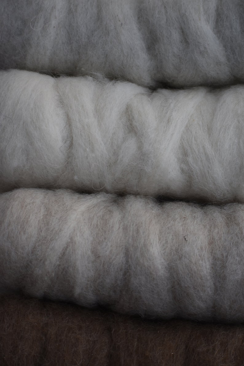 Icelandic Sheep Roving, Natural Color Wool in Light Gray, Ecru, Tan ...