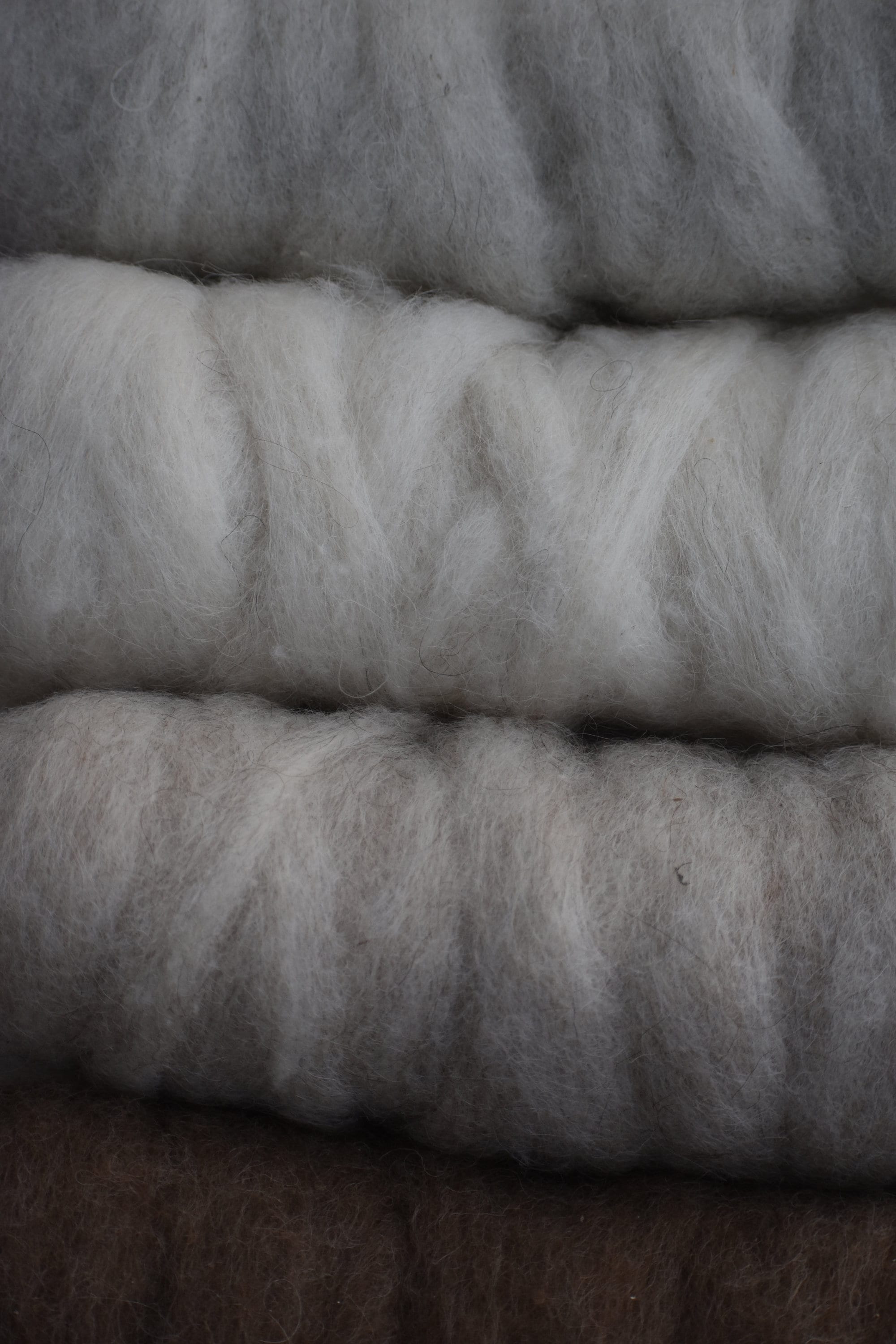 Icelandic Sheep Roving, Natural Color Wool in Light Gray, Ecru, Tan ...