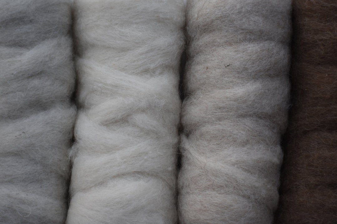 Icelandic Sheep Roving, Natural Color Wool in Light Gray, Ecru, Tan ...