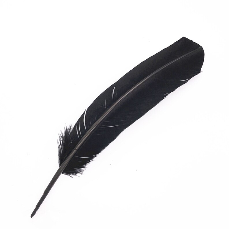 Turkey Feather - Natural Real Wild White Big Turkey Feather，headband ...