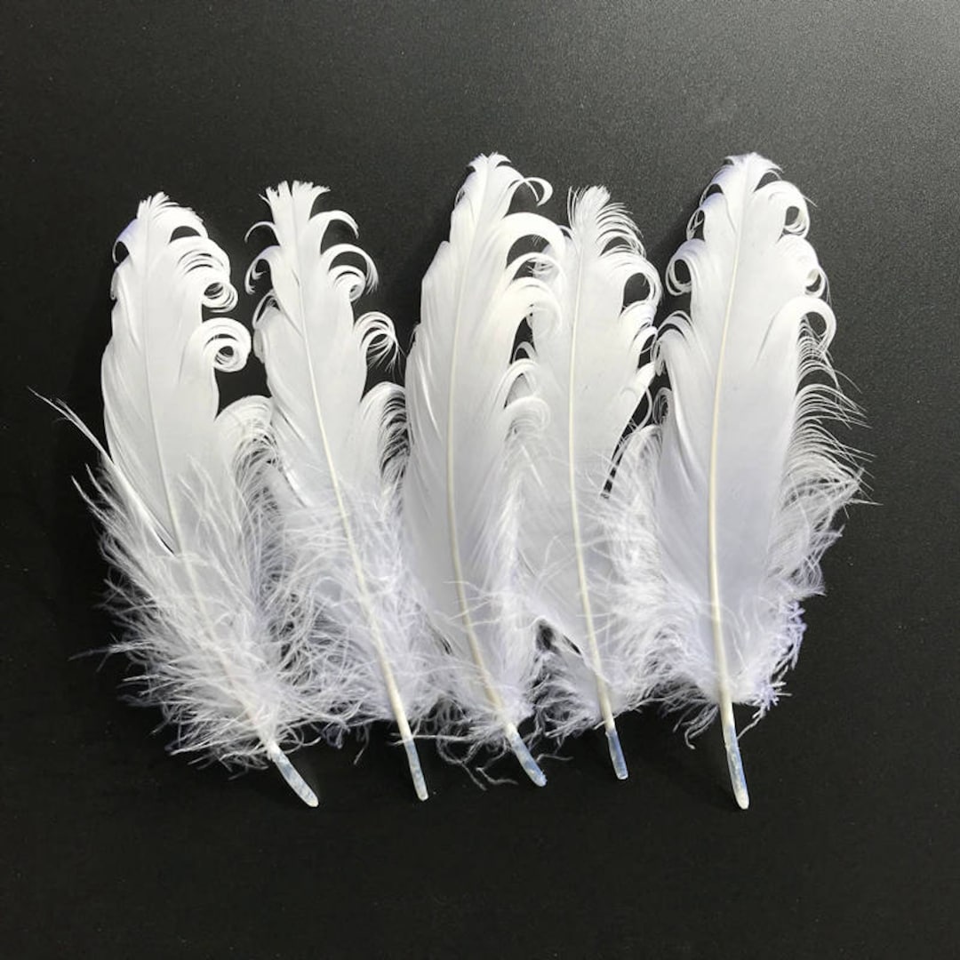 5-7 Inches White Goose Feathers,goose Plumes,cheap Feathers,wedding ...