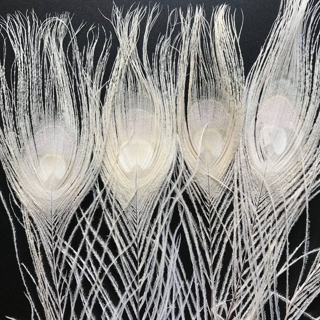 Peacock Feather - 50pcs/lot 10-12 Inch Bleached Dyeing Feathers，natural ...