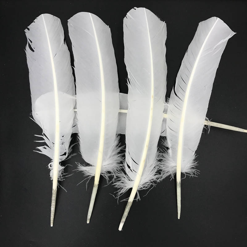 Turkey Feather - Natural Real Wild White Big Turkey Feather，headband ...