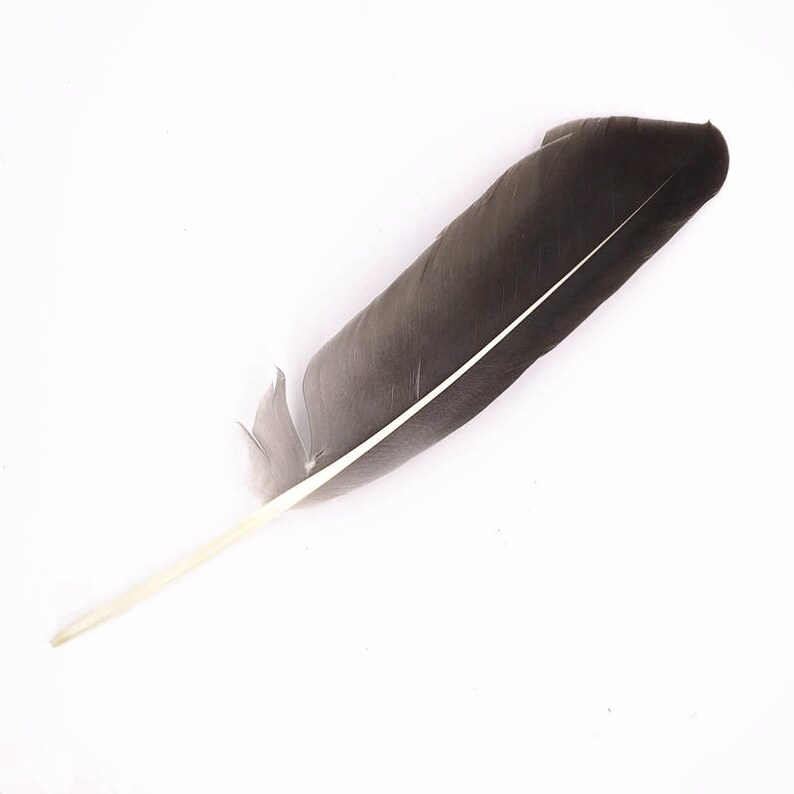 Goose Feathers - Real Natural Gray Long Goose Feathers，bulk Feathers ...