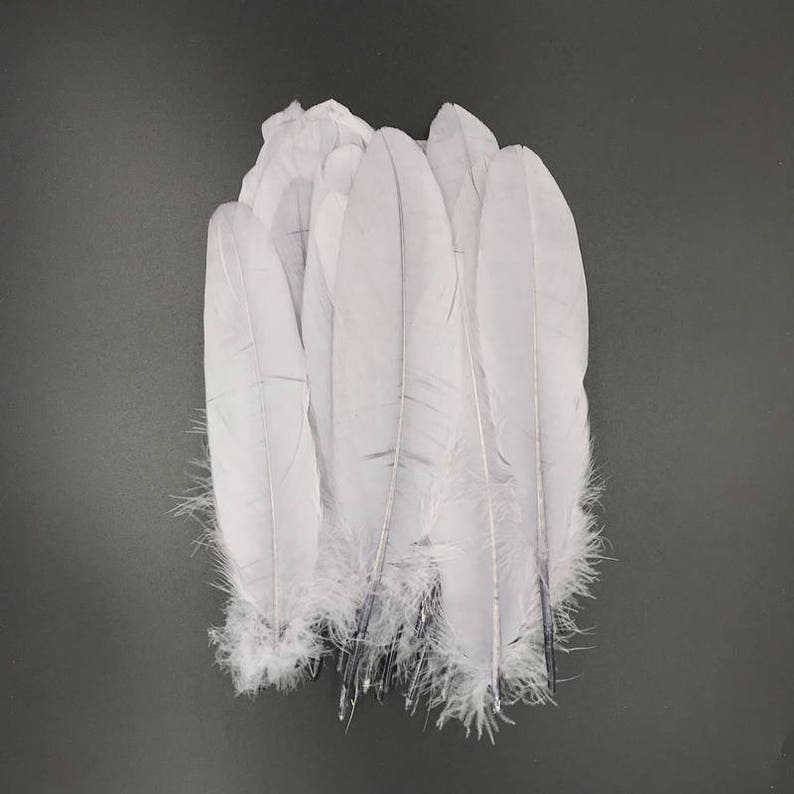 Goose Feathers Real Natural Gray Dyeing Bulk - Etsy