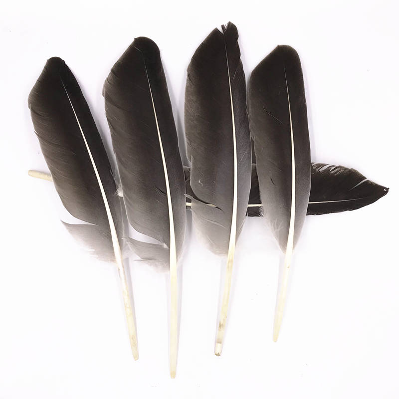 Goose Feathers - Real Natural Gray Long Goose Feathers，bulk Feathers ...