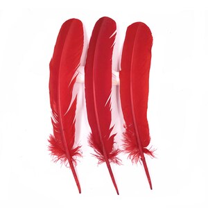 Turkey Feather - Natural Real Wild White Big Turkey Feather，headband ...