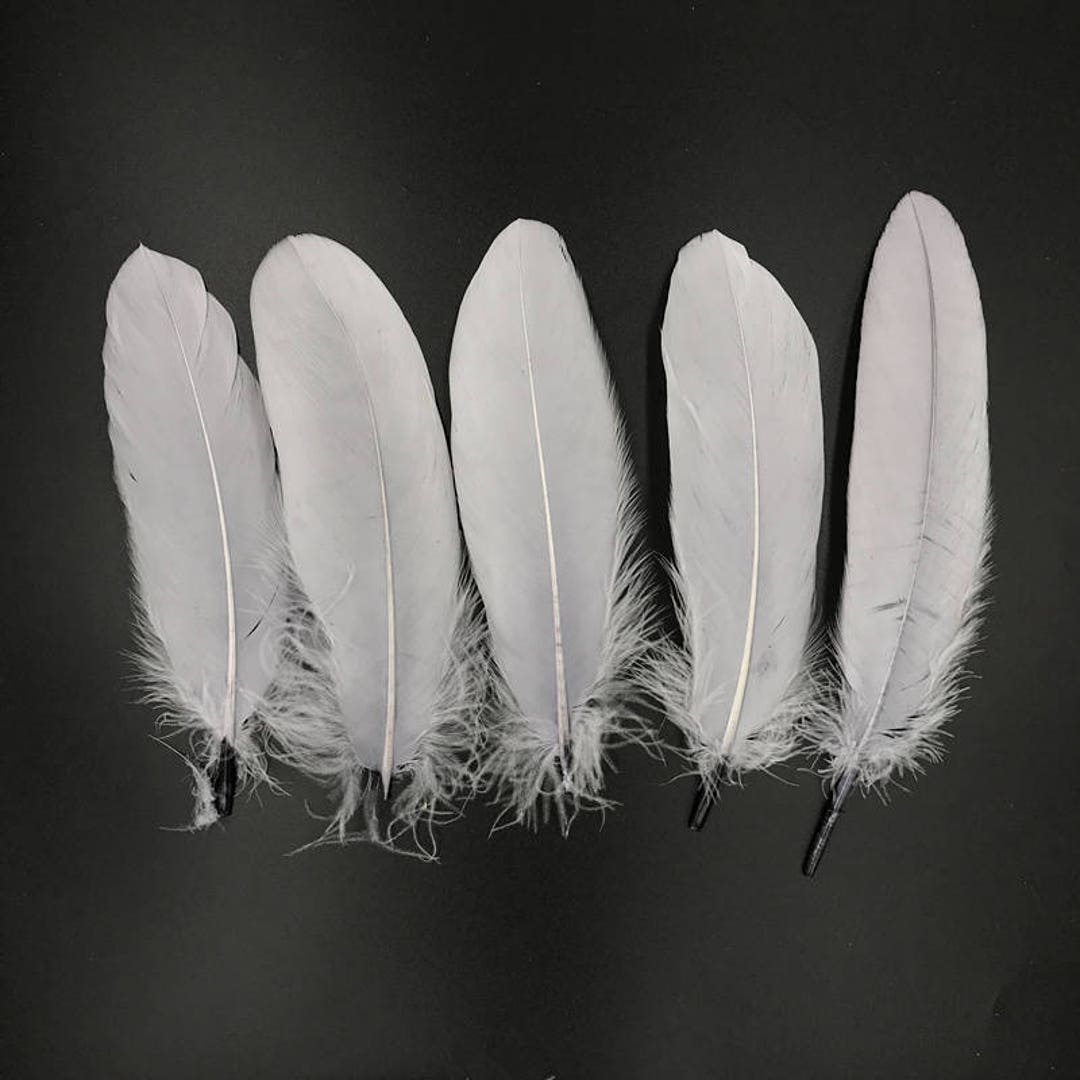 Goose Feathers - Real Natural Gray Dyeing Bulk Feathers，feather ...