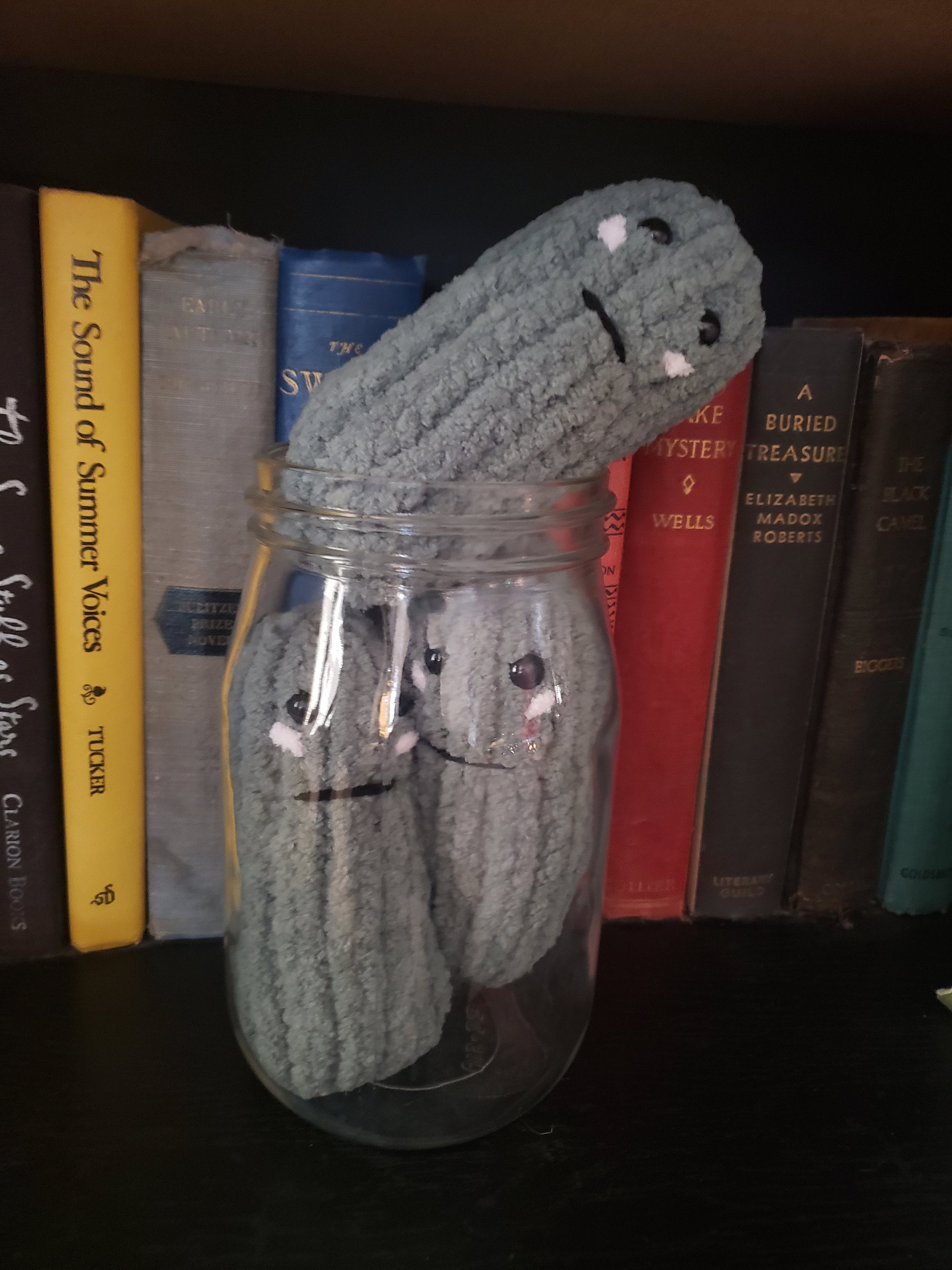 Pickle Buddy Knitting Pattern, Amigurumi Pickle, Knitting - Etsy
