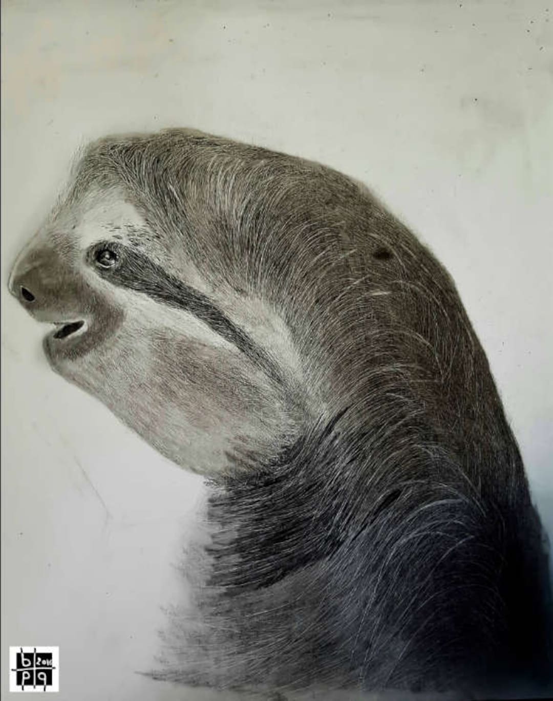 Sloth Pencil Drawing Print, Highly Detailed Print of Original Drawing ...