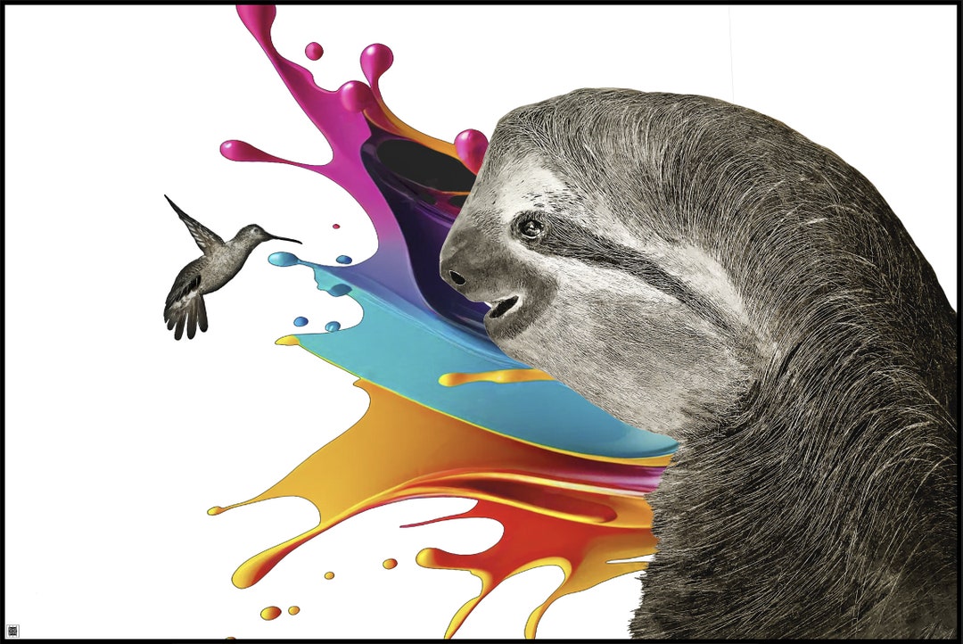 Sloth and Hummingbird Pencil Drawing Print, Original Drawing 3x2 Print ...