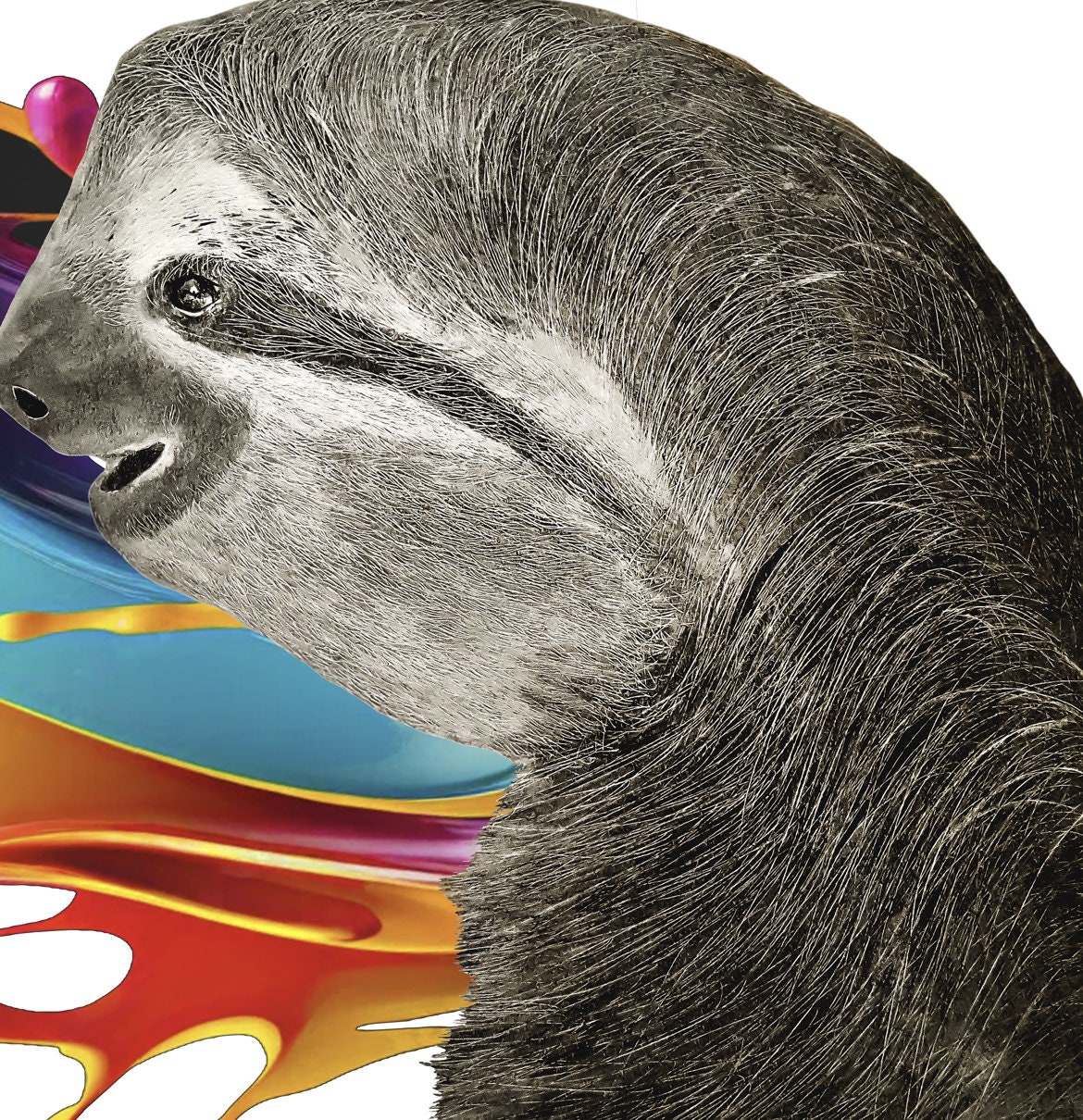 Sloth and Hummingbird Pencil Drawing Print, Original Drawing 3x2 Print ...