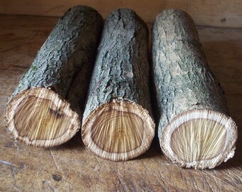 Mulberry wood | Etsy