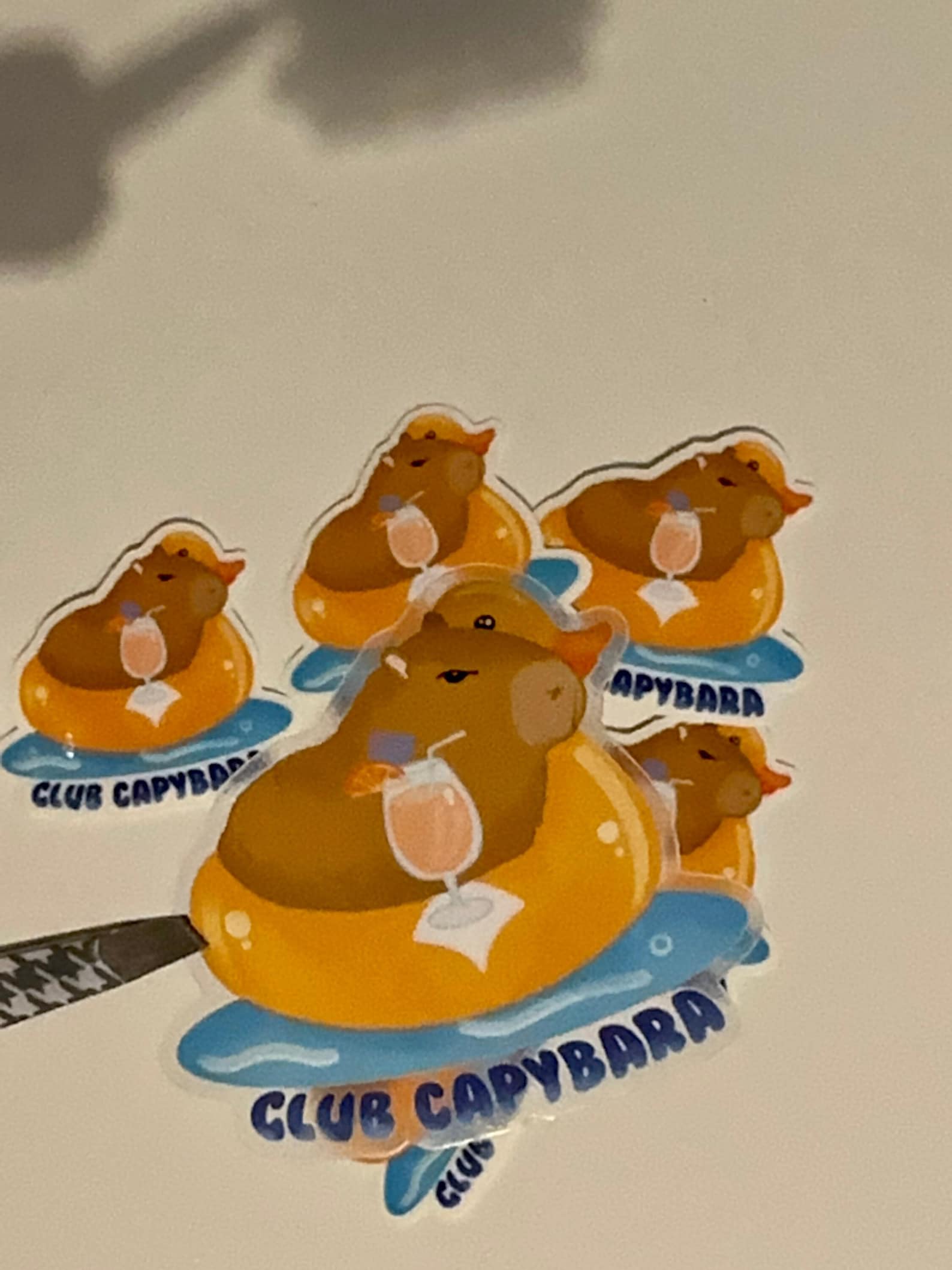Capybara Sticker. Capybara Chilling. Clear Vinyl Sticker! Cute Capybara ...