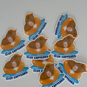 Capybara Sticker. Capybara Chilling. Clear Vinyl Sticker! Cute Capybara ...