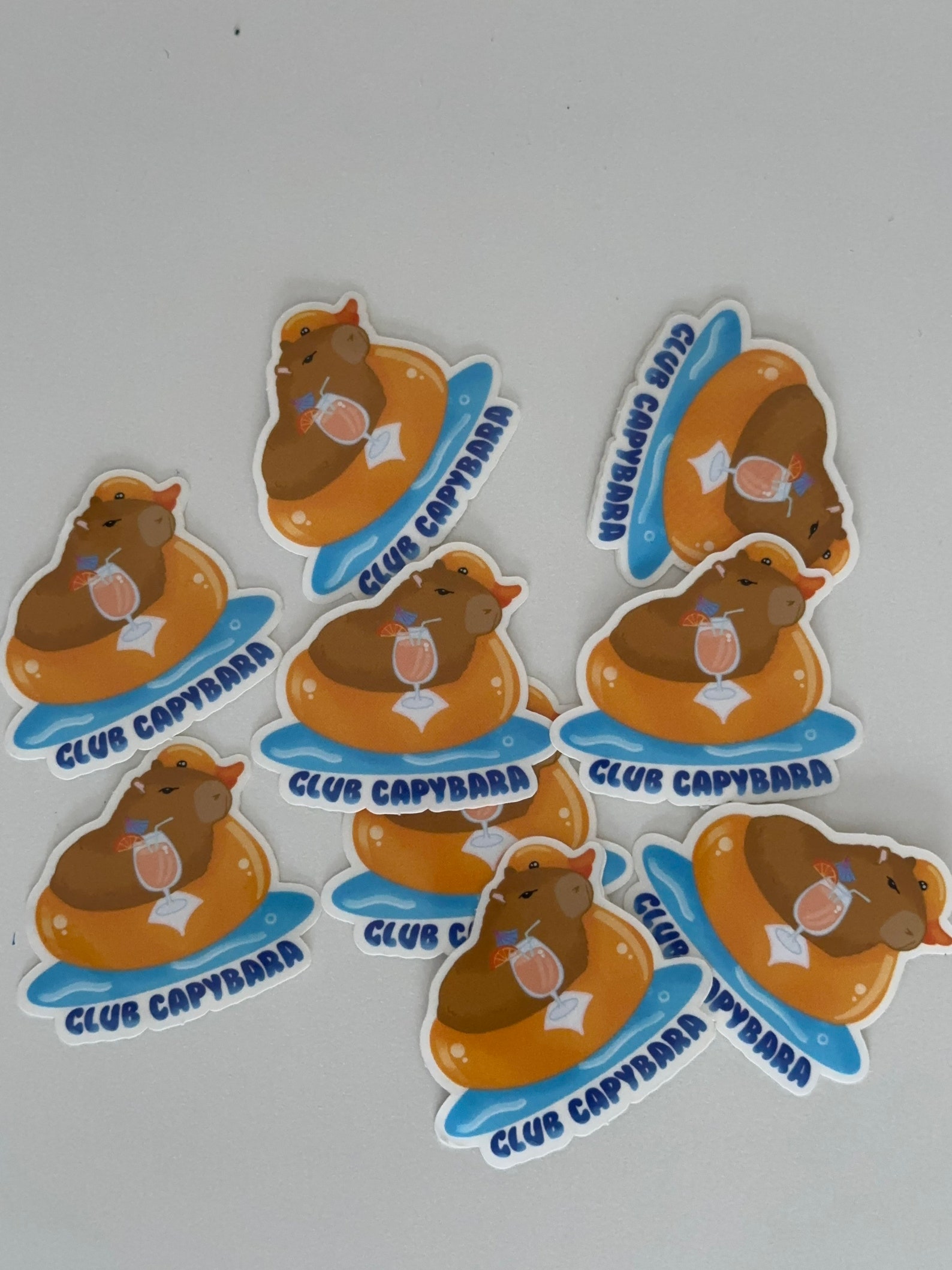 Capybara Sticker. Capybara Chilling. Clear Vinyl Sticker! Cute Capybara ...
