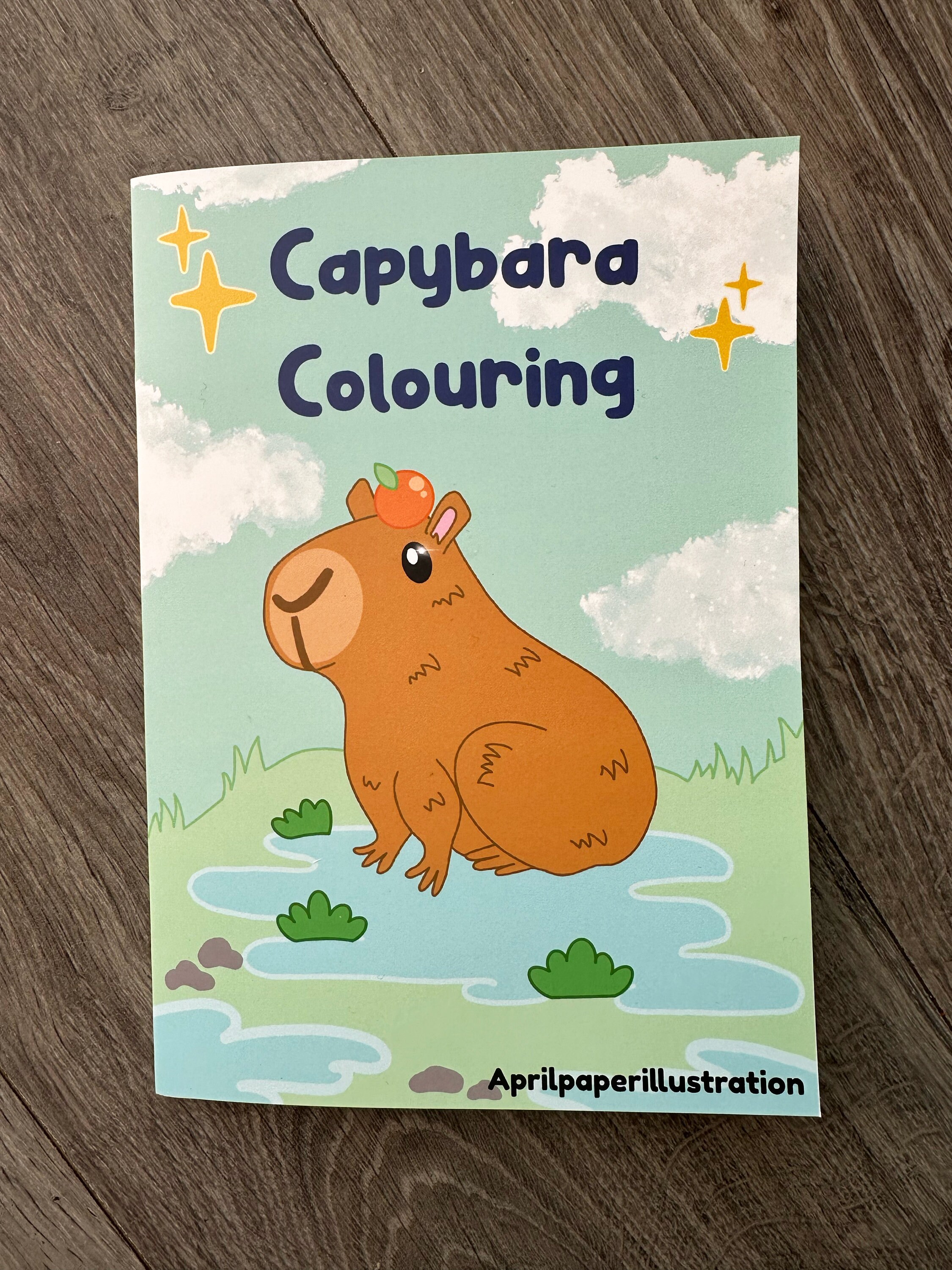 Capybara Colouring Book! A5 Colouring Book, Funny Capybaras. Capybara ...