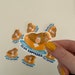 Capybara Sticker. Capybara Chilling. Clear Vinyl Sticker! Cute Capybara ...