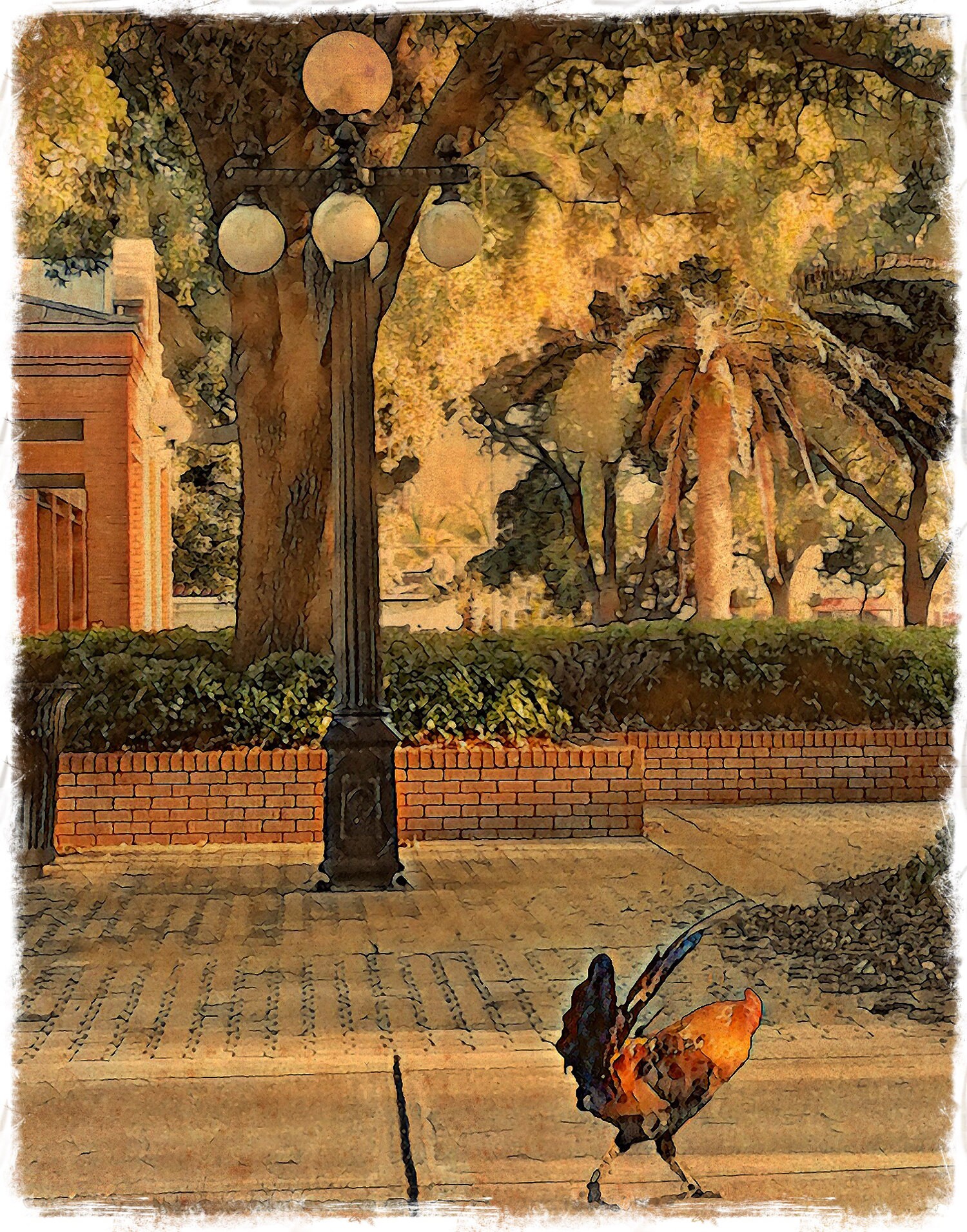 Custom Art Prints of Tampa: Featuring the Art of Prints of Tampa's ...