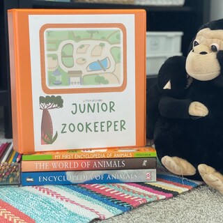 LetsPlaySchool - Etsy