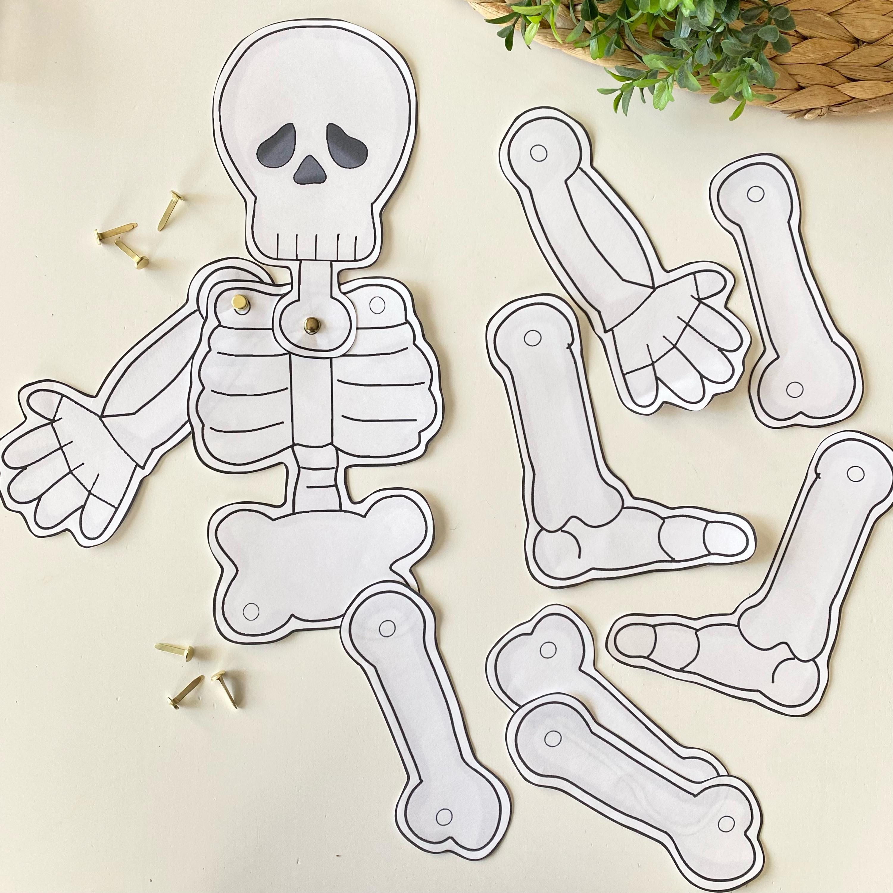 Preschool Human Body Play & Learn Kit | Morning Basket | Unit Study ...