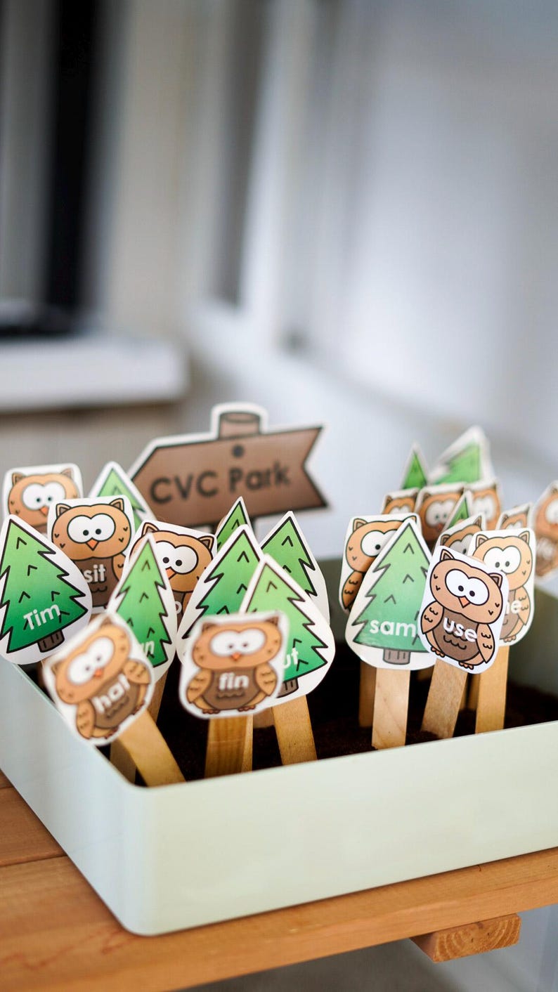 Forest Phonics Sensory Bin Game • CVC Vs Cvce Words (printable) - Etsy