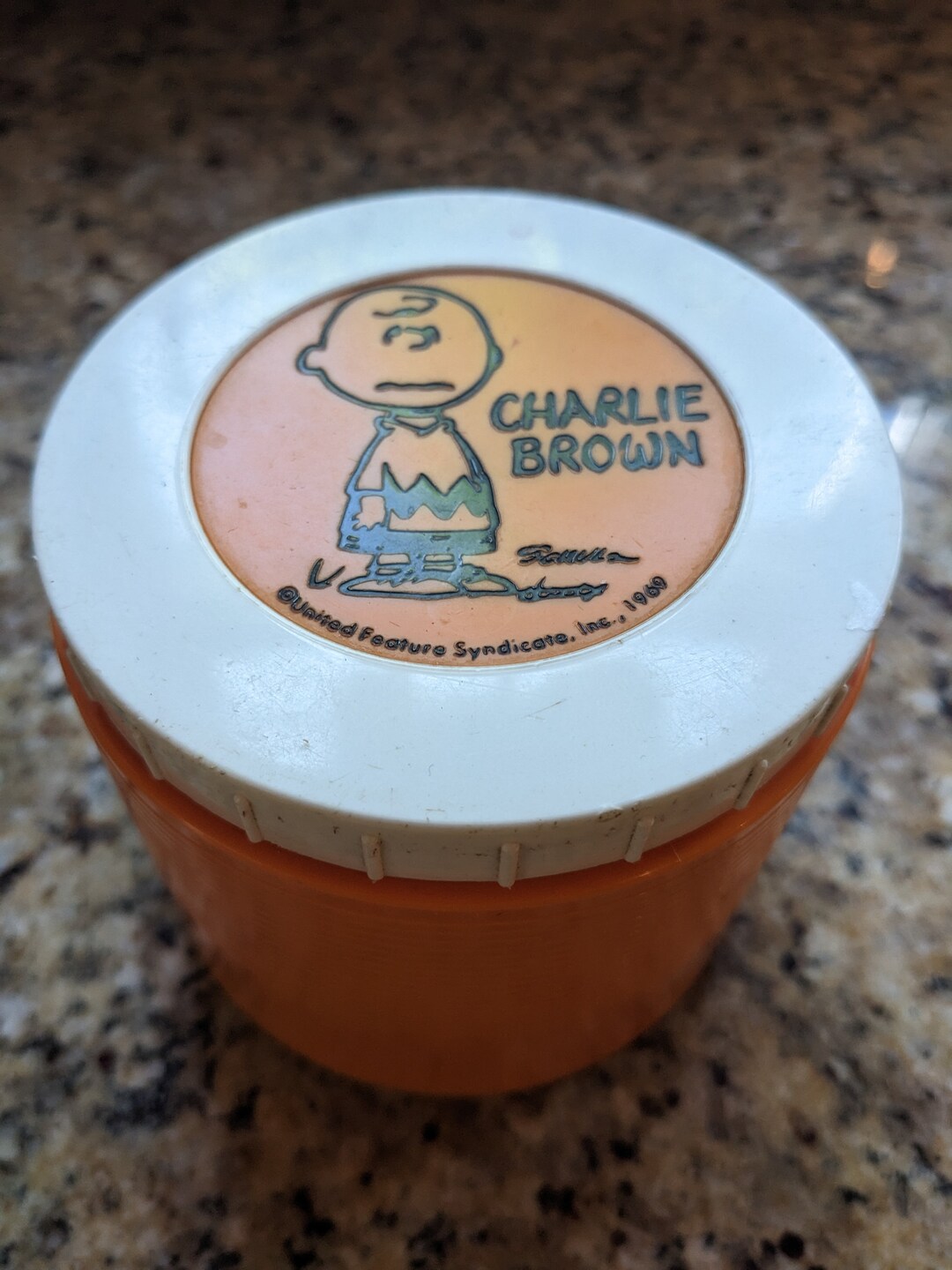 Charlie Brown Thermos Jar - Etsy
