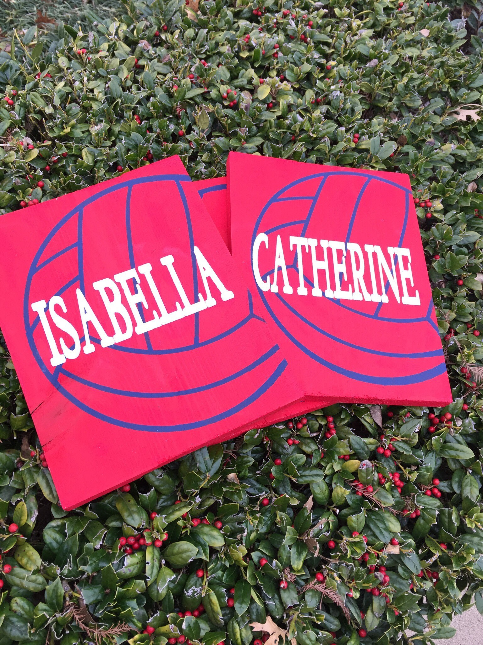 Mini Signs Personalized Volleyball Sign Team Gift Sports Etsy mini-signs-personalized-volleyball-sign-team-gift-sports-etsy