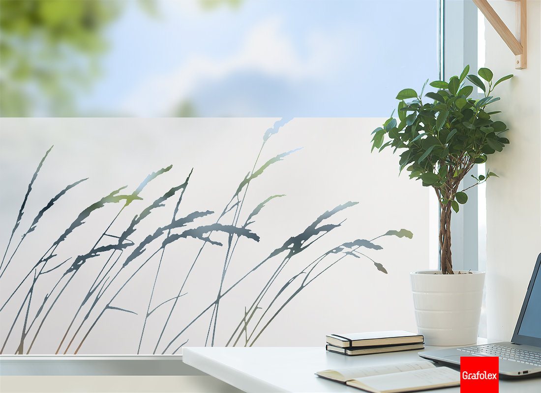 Window Film Privacy Film Frosted Glass Film Office Practice Apartment ...