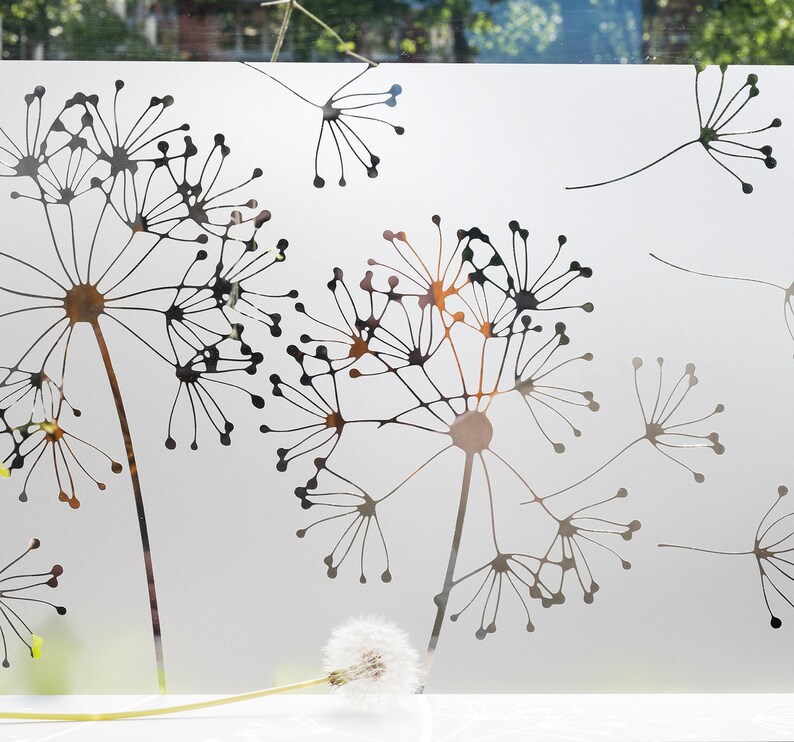 Pusteblume Window Privacy Film Sticker Glastattoo Sandblast - Etsy UK