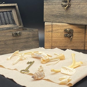 Osteomancy / Bone Throwing Kit - Etsy