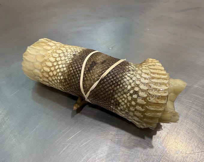 Snake Skin Ball Python - Etsy