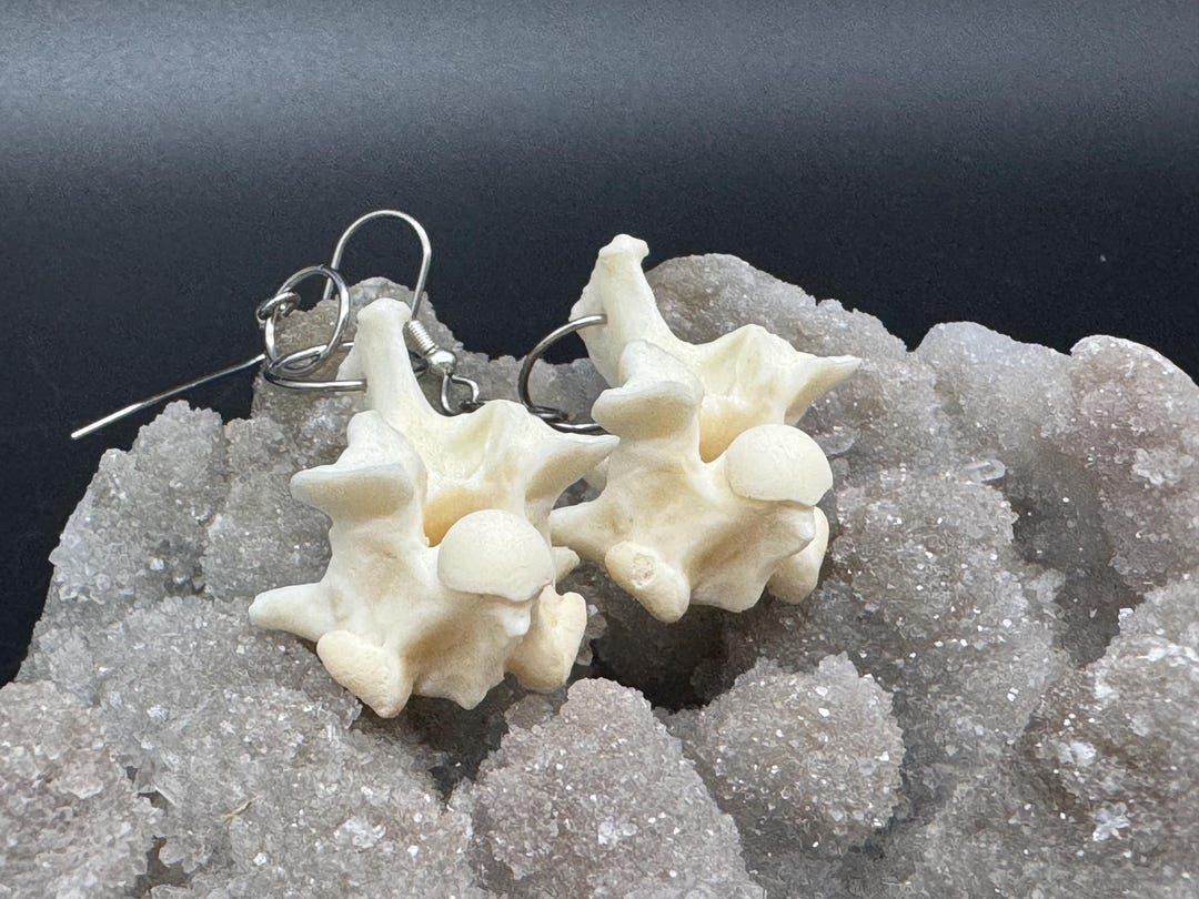 Blood Python Vertebrae Earrings - Etsy