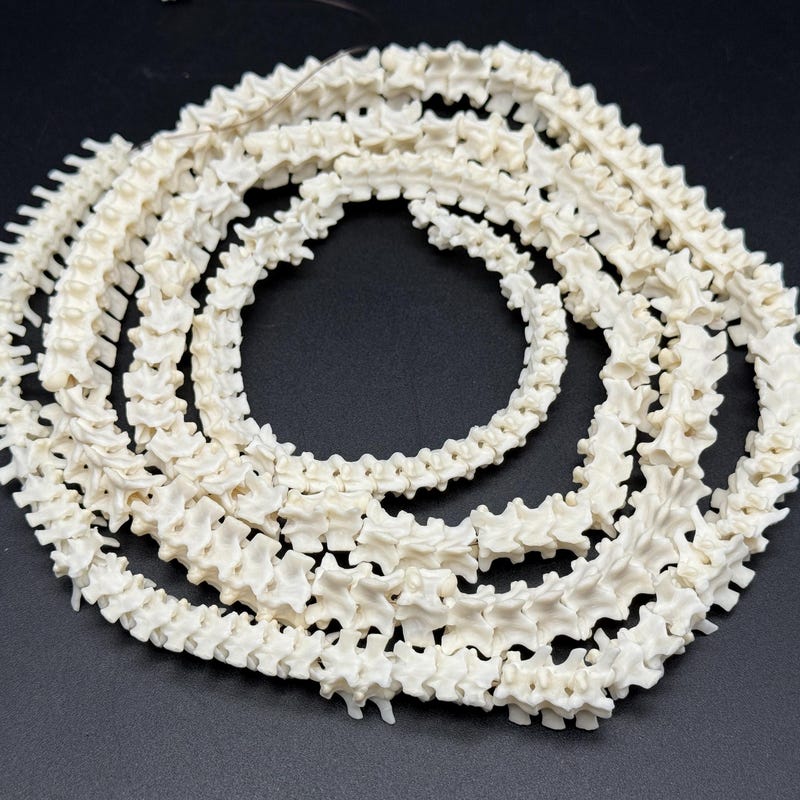 Python Vertebrae Jewelry - Etsy