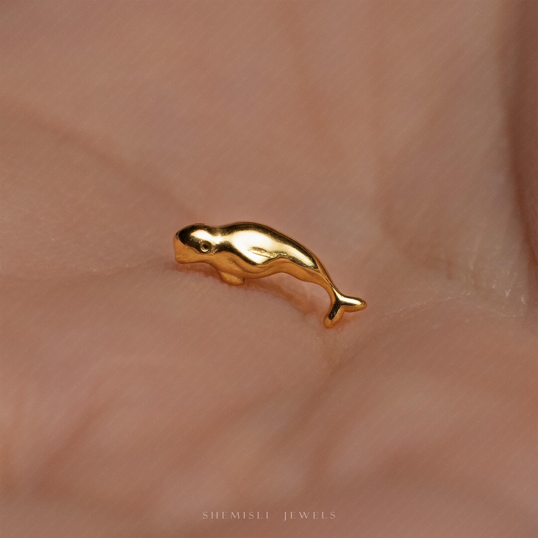 Tiny Beluga Whale Threadless Flat Back Earring, 20,18,16ga, 5-10mm Unisex, Stainless Steel ...